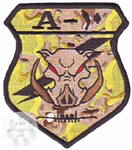 A-10 Warthogpatches.com - USCENTAF Units