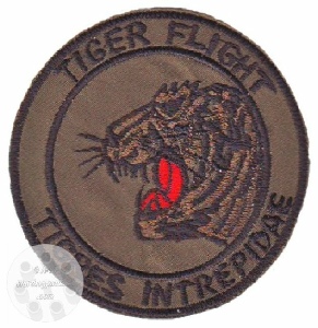 A-10 Warthogpatches.com - 51 CW / TFW / WG / FW